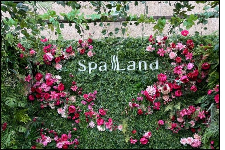 Your Ultimate Guide to Spa Land Busan - Wander S Korea